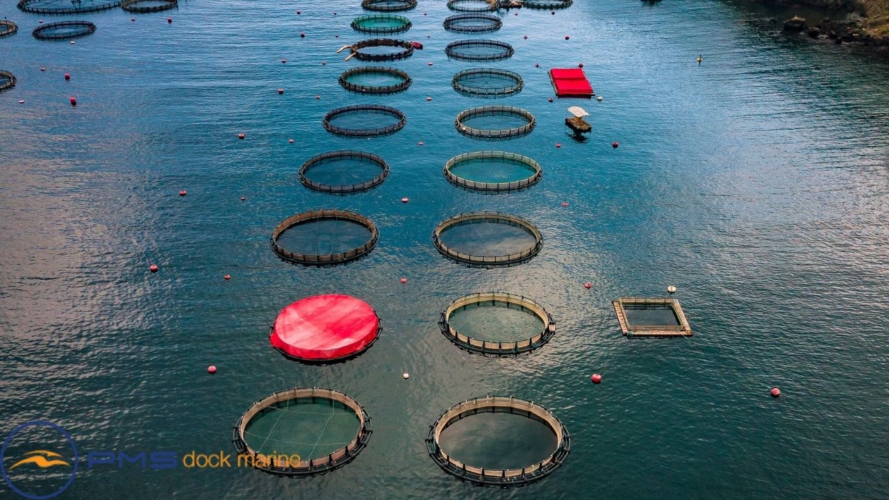 Marine Floats Nedir?